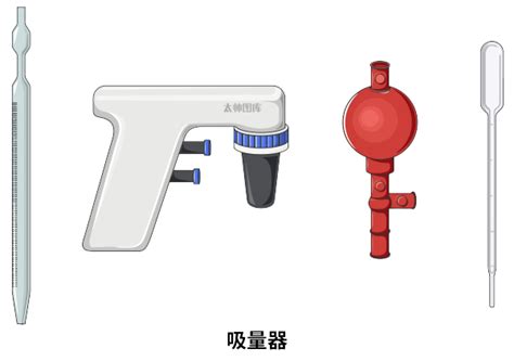 移液枪 医学插画