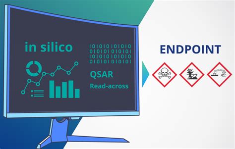In Silico Methods In The Safety Assessment Of Chemicals Qsar