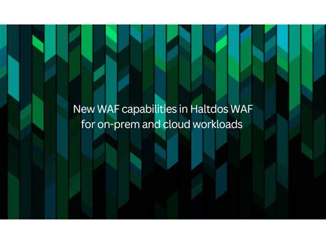 Enhance Your Web App Security With New Haltdos Waf Capabilities