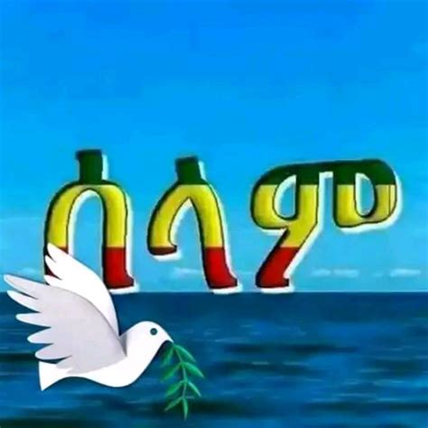 የምስራቅ ጎጃም ዞን ሰላምና ፀጥታ መምርያ Debra Markos