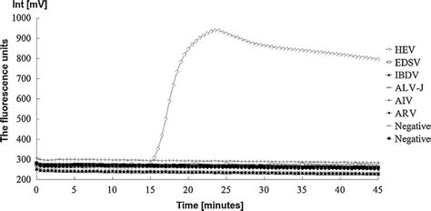 Specificity Of The Realamp Assay For Detection Of Hev Gene Real Time