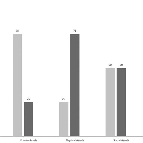 Graph Showing Assets Distribution Download Scientific Diagram