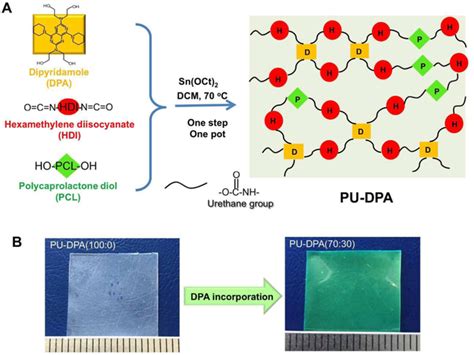 Enhancing Anti Thrombogenicity Of Biodegradable Polyurethanes Through
