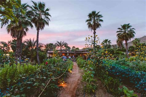Travel Guide Los Cabos Vacation Trip Ideas