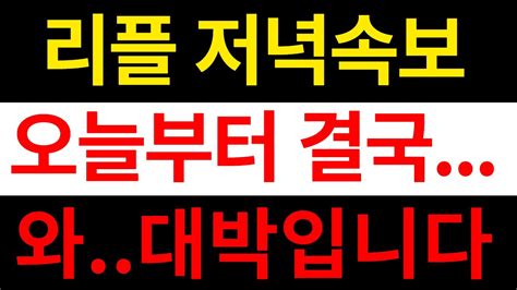 리플 보유자 여러분 정말 고생 많으셨습니다 Youtube