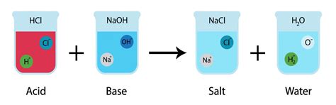 Making Salts Ks3 Chemistry Revision