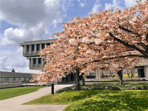 Simon Fraser University On Linkedin Highereducation Burnaby Spring