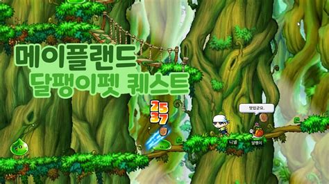 메이플랜드 달팽이 펫 등장 카산드라 통해 무료로 얻어보자 Youtube