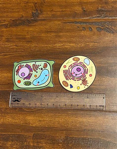 Cute Cells And Organelles Decorative Magnet Set Etsy