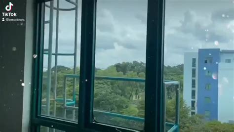 Diqit Business Solutions On Linkedin A Working Day At Bee Solutions