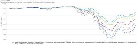 How Market Volatility Affects Asset Class Behavior