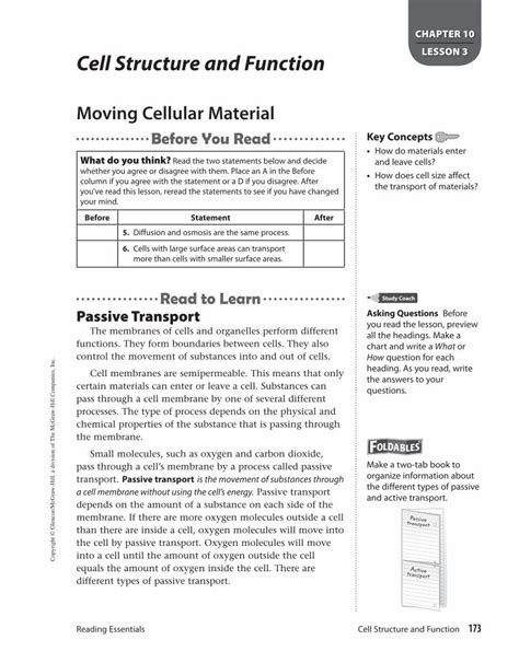 Pdf Chapter 10 Lesson 3 Cell Structure And Function · Functions They