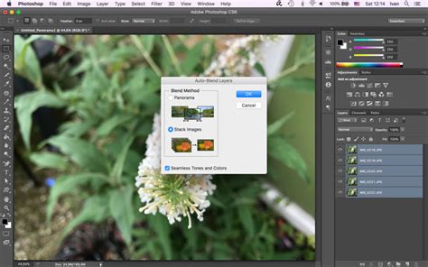 Focus Stacking For Macro Photography Using Adobe Photoshop