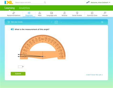 The IXL Real Time Diagnostic