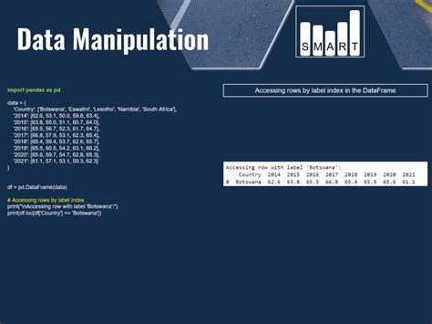 Importing Pandas Library To Access Rows By Label Index In The Dataframe