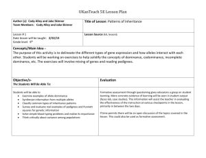 Complex Inheritance Patterns