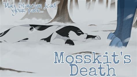 【bluestars Loss】 May Starclan Lead Your Path Mosskits Death