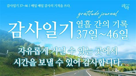 감사일기 37 46 자유롭게 거닐 수 있는 곳에서 시간을 보낼 수 있어 감사합니다감사일기 감사로시작하는365감사영상감사합니다 매일 나와의약속 긍정에너지