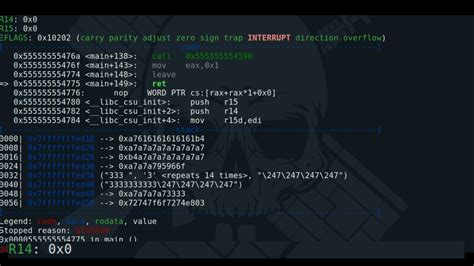 Exploit Development With Afl Peda And Pwntools Deepcode