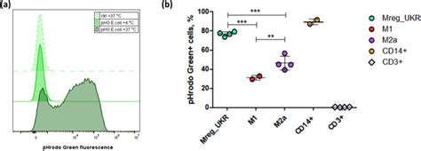 Transcriptomics Uncovers Substantial Variability Associated With