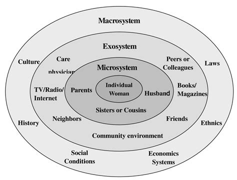 Ecological Systems Theory Examples