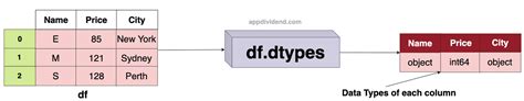 How To Get The Data Type Of Column In Pandas Dataframe