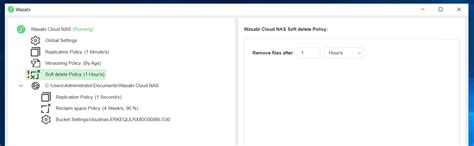 Configuring Soft Delete Policy