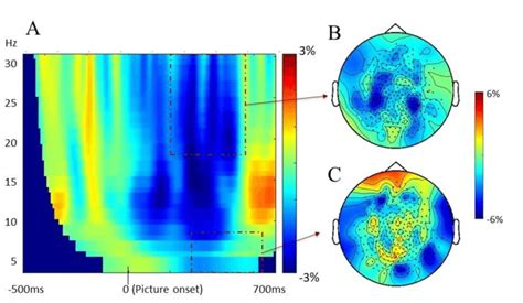 Stroop Like Effect On The Sensor Level A Stimuli Locked Download Scientific Diagram