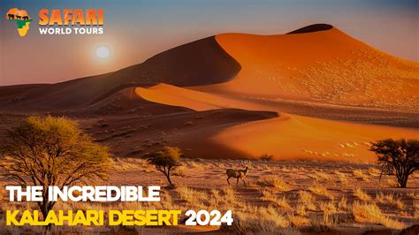 Kalahari Africa Namib Desert Kalahari Desert Upsc Viral Shorts