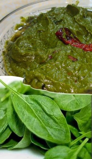 ஹெல்த்தியான பசலைக்கீரை மசியல் ரெசிபி Tamil Web Stories Visual Stories In Tamil Dinamalar