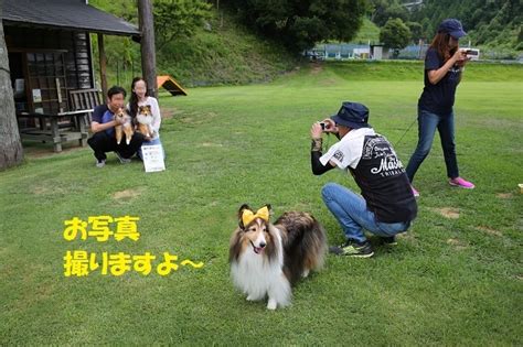 第1回シルバーシオンオフ会記念写真編 四季レモンとの日々
