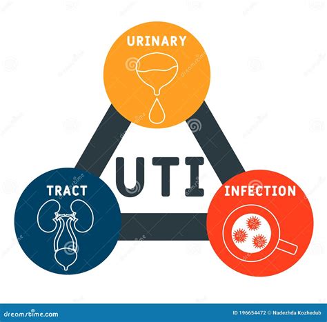 Infección Del Tracto Urinario Uti Acrónimo Trasfondo Del Concepto Médico Ilustración Del Vector