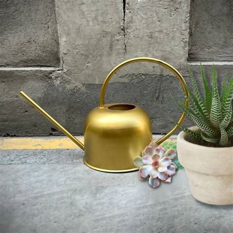 Regadera Deco Small Gold Bazaredcl