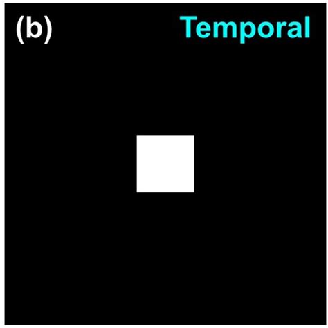 Illustrations Of The Test Patterns Used For The Spatial A—a Static