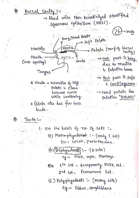 SOLUTION Digestion And Absorption Studypool