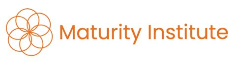 Automated Maturity Assessment For Small Businesses