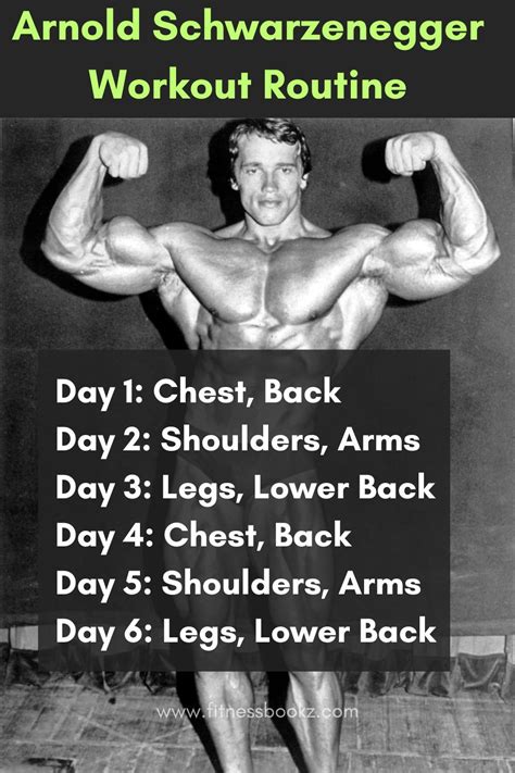 Arnold Schwarzenegger Daily Routine Bodybuilding Workouts Routines