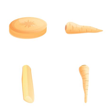 fresh parsnip icons set cartoon whole and sliced parsnip root