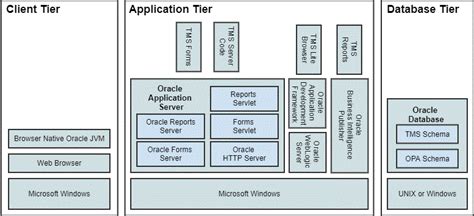 Prepare To Install Oracle Thesaurus Management System