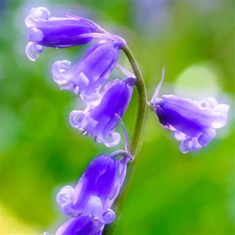 Galleriesshop Andy Small