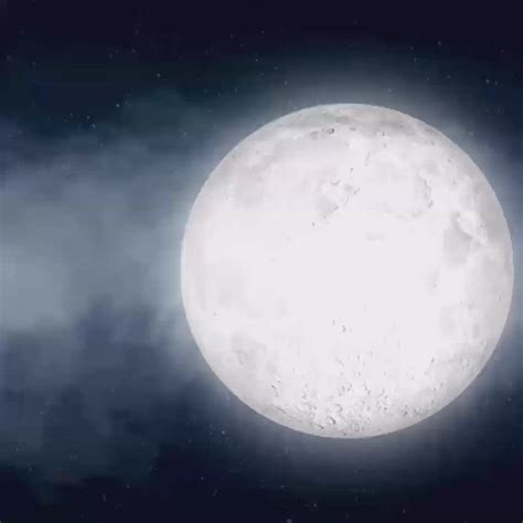 Twilight Unicorn Mythical Toy Figure Safari Ltd®