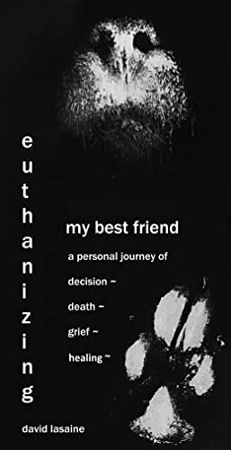 Euthanizing My Best Friend A Personal Journey Of Decision ~ Death
