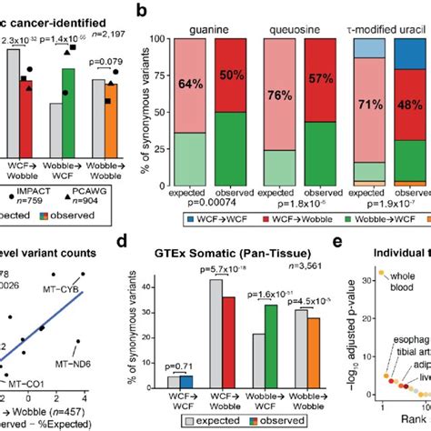 Mitochondrial Ribosome Profiling Reveals Translational Stalling Of The Download Scientific