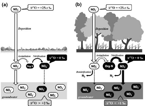 Schematic Diagrams Showing The Biological Processing Of Atmospheric Download Scientific Diagram