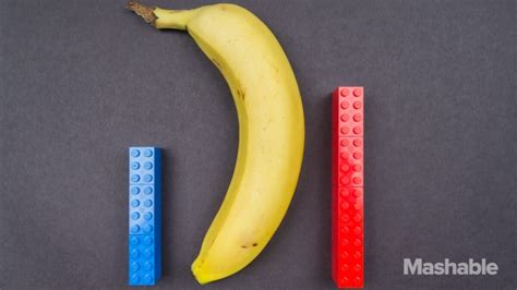 How Big Is The Average Penis Lets Compare With Household Objects Mashable