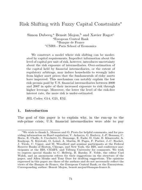 Risk Shifting With Fuzzy Capital Constraints Pdf Banks Interest Rates