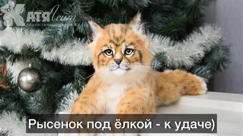 Рысенок игрушка Youtube