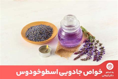 اسطوخودوس و مهمترین خواص آن نحوه مصرف دمنوش اسطوخودوس