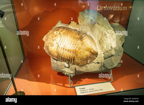 Museum Of Natural History Dortmund North Rhine Westphalia Germany