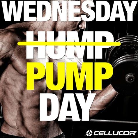 60 Funniest Hump Day Memes To Survive Wednesdays Gym Memes Funny